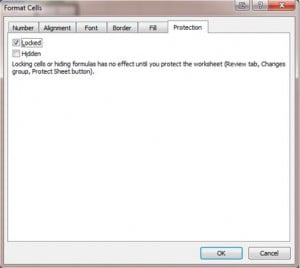 How to Protect Cells and Formulas in Excel | Dedicated Excel