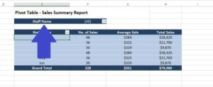 VBA for Splitting an Excel Pivot Table into Multiple Reports | Dedicated Excel