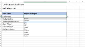 How to Create a Dropdown List in Excel with Multiple Selections | Dedicated Excel
